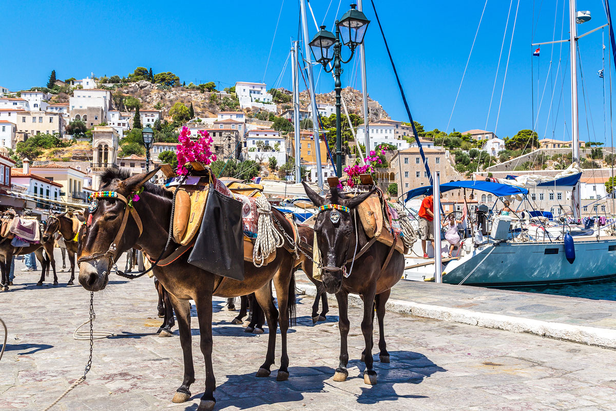 Hydra & The Saronic - Essential Sailing